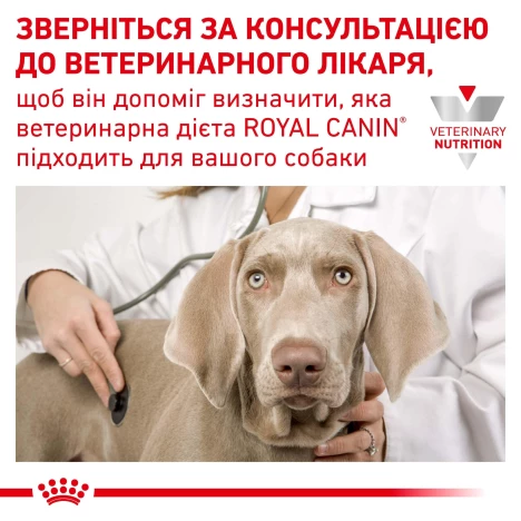 Корм сухий для собак Royal Canin Neutered Adult 3,5 кг купити в ⁕ ALLO ...